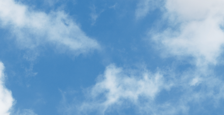 All Brands A-Z – UPPER BODEGA